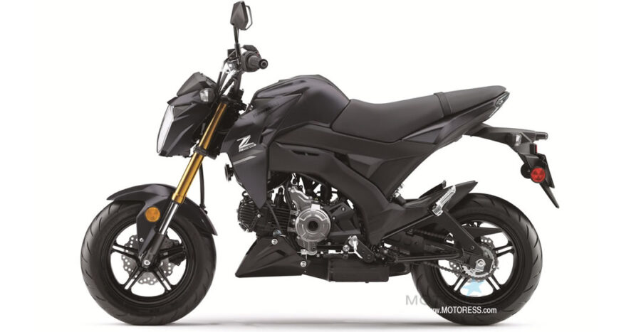 Kawasaki Z125 PRO Naked Small Size Motorcycle -Big on Fun!